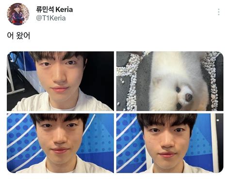 ㅋㅋㅋㅋㅋ 류민석 인스타랑 트위터 차이 롤 리그 오브 레전드 에펨코리아