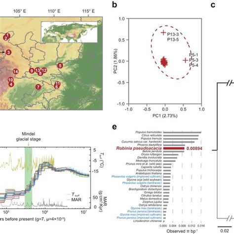 Population Genomic Analyses Of R Pseudoacacia A Geographic Download Scientific Diagram