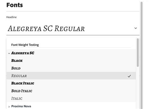 Uploaded Brand Fonts Displaying Incorrectly Adobe Product Community