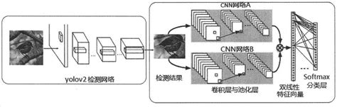 基于检测和识别网络架构的细粒度图像分类方法与流程