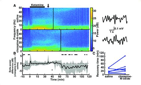 Excitation Of Camkiia Neurons In The Parabrachial Nucleus Region Did