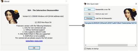 The Interactive Disassembler Ida Pro Security Investigation The Interactive Disassembler Ida Pro Security Investigation