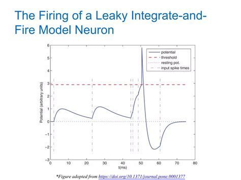 Introduction To Spiking Neural Networks From A Computational Neuroscience Perspective PPTX