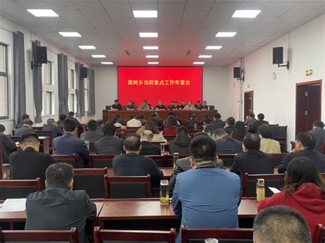 棠树乡召开当前重点工作布置会 舒城县人民政府
