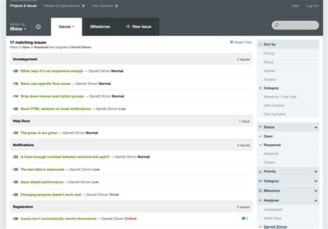 Categorizing Bugs And Issues Sifter