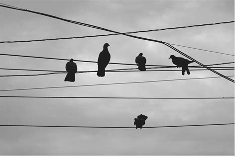 Grouping Data In Data Science Towards Data Science