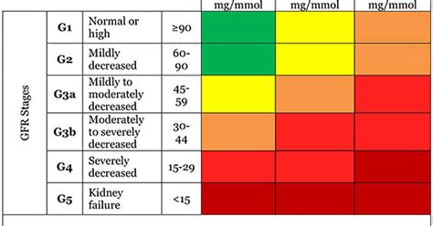 Chart Of Creatinine Levels Bun Creatinine Ratio