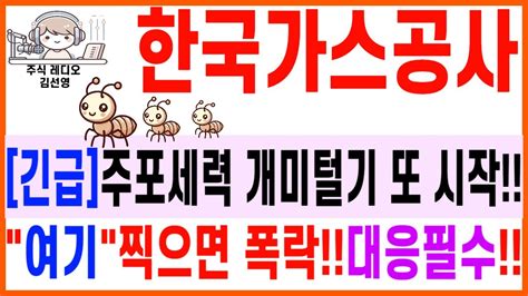 한국가스공사 주가 전망 긴급주포세력 개미털기시작여기찍으면 폭락 고점을 고점공개 대응필수한국가스공사주가 한국가스공사목표가한국가스공사호재한국가스공사