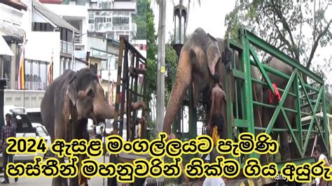 ඇසළ මංගල්ලය හැඩකළ හස්තීන් මහනුවරින් නික්මෙයි Youtube