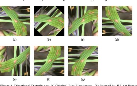 Figure 3 From Plant Leaf Disease Recognition Using Depth Wise Separable Convolution Based Models