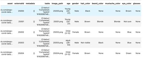 How To Build Tensorflow Models With The Keras Functional Api Examples Code And Notebook