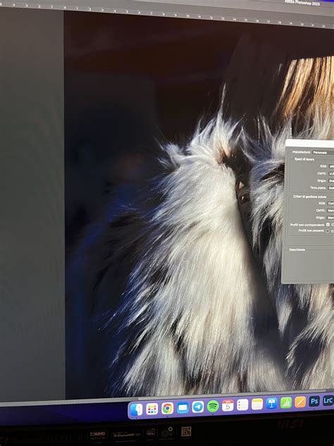 solved gamma bug photoshop 24 0 1 adobe community 13392630