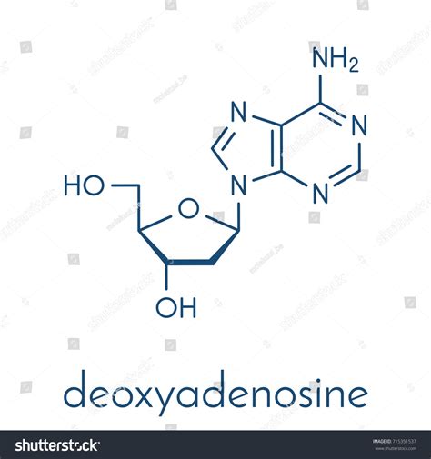 Deoxyadenosine Da Nucleoside Molecule Dna Building Stock Vector