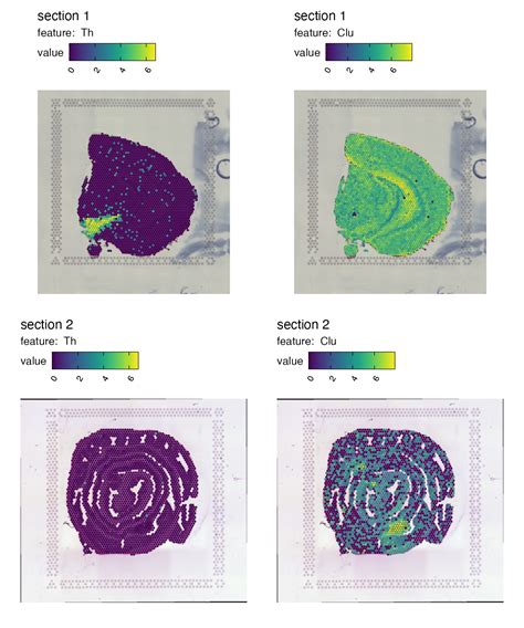 Advanced Visualization • Semla