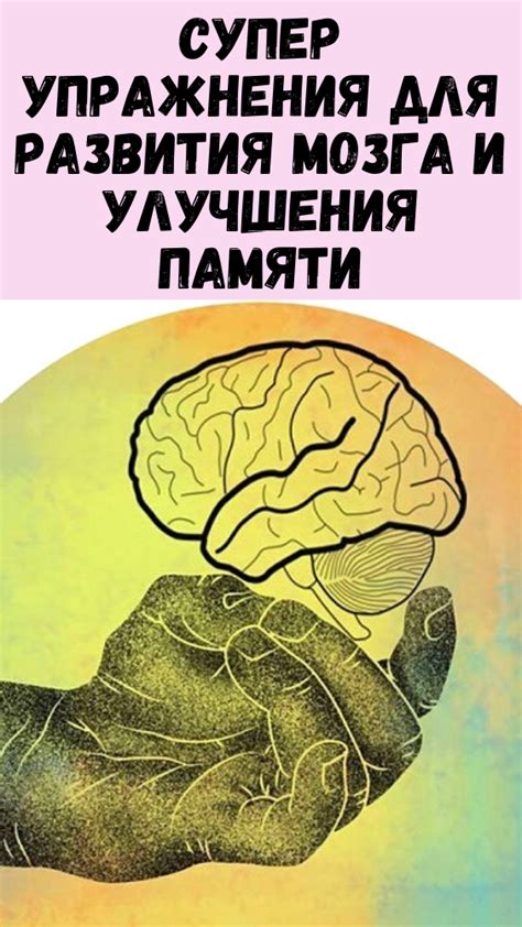 Женский Журнал Упражнения Нейропластичность Физкультурные упражнения