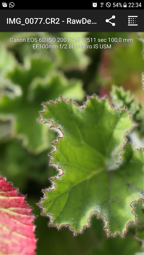 Raw Decoder Apk For Android Download