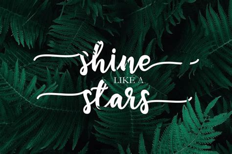 new flashlight script calligraphy by bexxtype thehungryjpeg