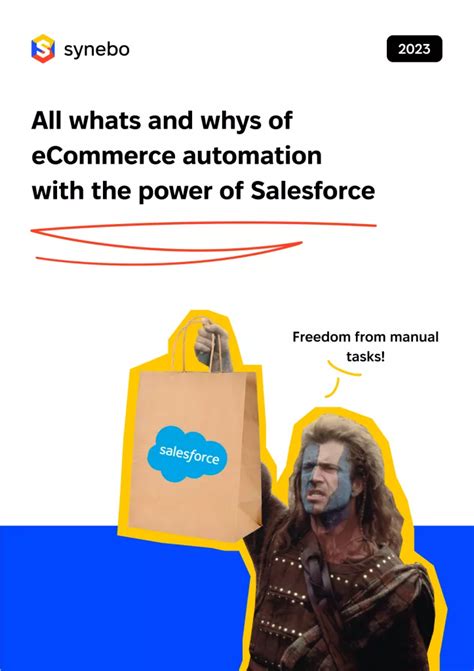 Synebo Provider Of Salesforce Development Services