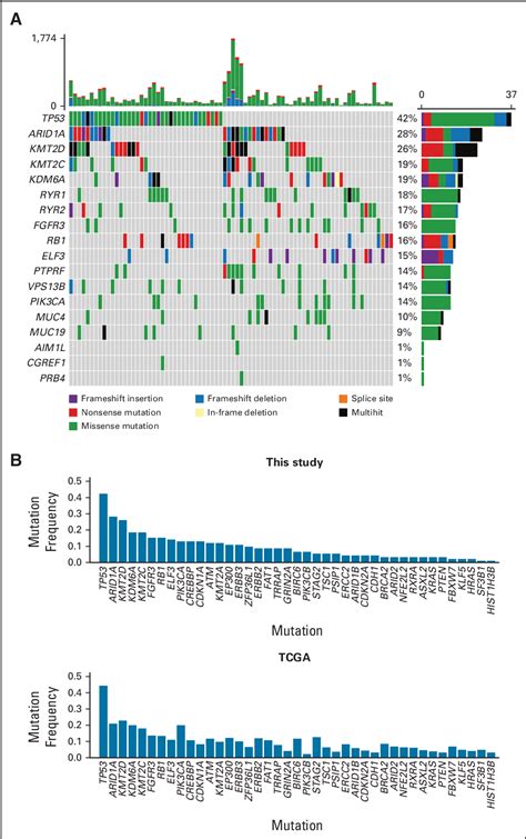 Figure 1 From Novel Genetic Subtypes Of Urothelial Carcinoma With Differential Outcomes On
