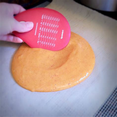 Riddlelove Preserving Homemade Fruit Roll Ups ~ A Recipe