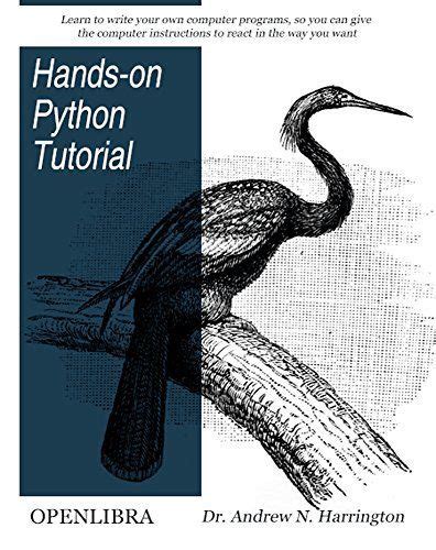 Python Programming Ju Rao