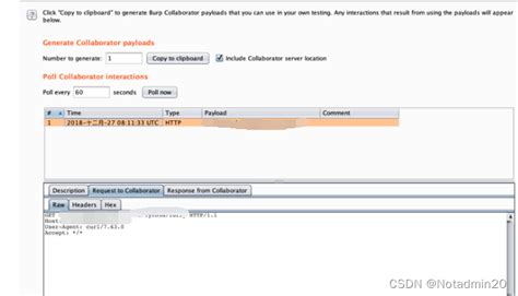 rce无回显漏洞利用 csdn博客