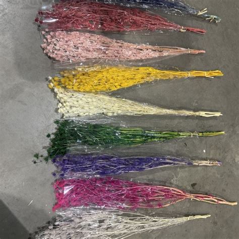 Сухоцветы стабилизированные купить в Москве Parki Green