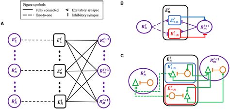 frontiers predictive coding with spiking neurons and feedforward gist signaling