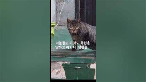 간식먹다가 이런일이 Youtube