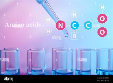 Amino Acids Chemistry Bbc Bitesize At Phoebe Reddall Blog