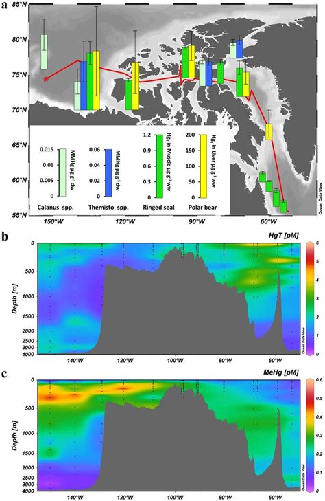 Mercury Concentrations In The Marine Food Web And Seawater Across The