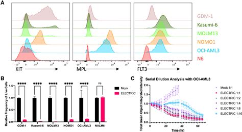 Development Of Multivalent Car T Cells As Dual Immunotherapy And Conditioning Agents Molecular