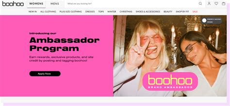 6 Best Performing Brand Ambassador Program Examples Loudcrowd