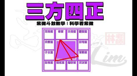 什么是三方四正？ 紫微斗數 基礎9 【科學看紫微】 大家來排盤 Youtube