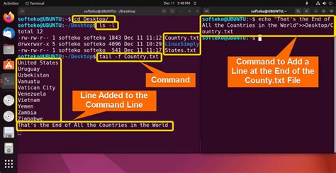 The “tail” Command In Linux 7 Practical Examples Linuxsimply