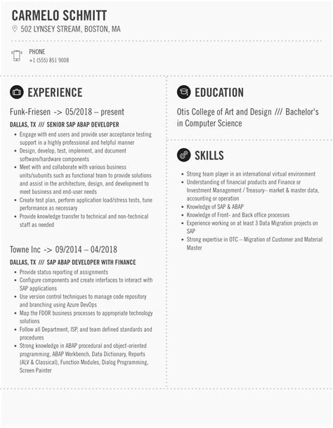 Sap Abap Developer Resume Samples Velvet Jobs