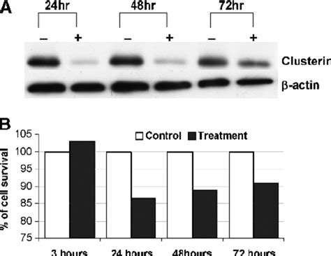 Effects Of Decreased Clusterin Expression On Paclitaxel Resistance In