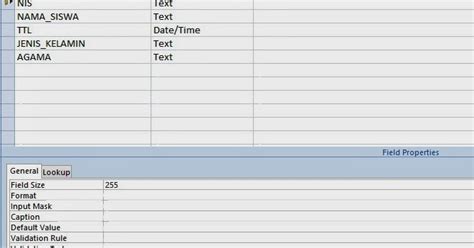 Memahami Tipe Tipe Data Pada Program Aplikasi Microsoft Access Fungsi Dan Rumus Excel Lengkap