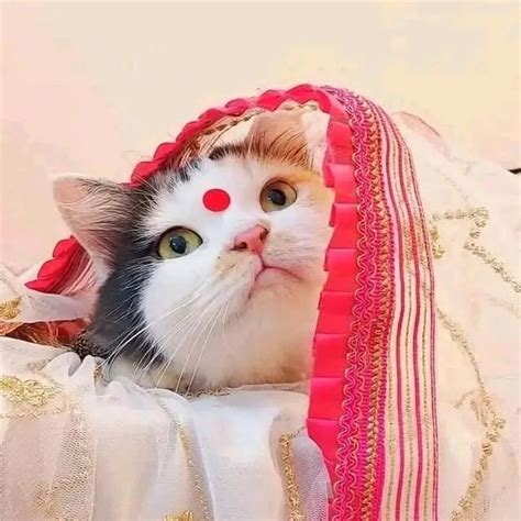 Sumaiya Tabassum Tahsintabassumsumaiya • Threads Say More