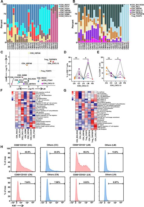 Single Cell And Spatial Transcriptome Analysis Reveals The Cellular Heterogeneity Of Liver