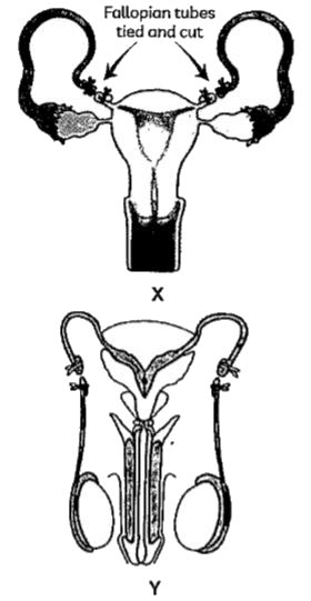 Four light waves are represented byi y a1sin ωt ii y a2sinωt iii y a1sin 2ωt iv y