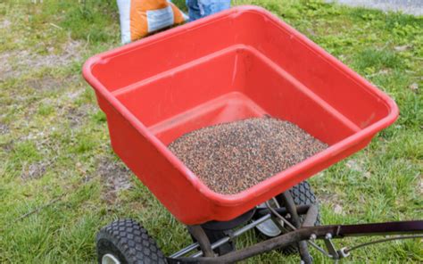 When Is It Too Late To Aerate And Overseed