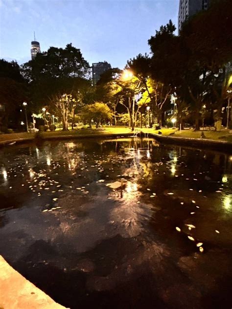 ผลกระทบ ลอยกระทงขนมปัง สวนสันติภาพ ปลาลอยตายเกือบหมดสระ