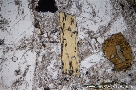 Biotite Microscope Biotite Geology North