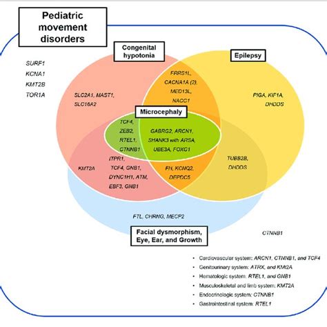 Clinical Categories Of Identified Pathogenic Variants Download Scientific Diagram