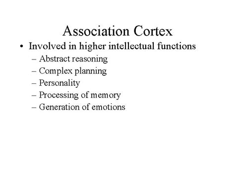 Cerebral Cortex 2 Heteromodal Association Cortex Multimodal Association