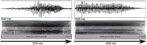 Oscillogram Top And Spectrogram Bottom For The Short And Long