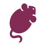 Automatisch Open Source Alternative To Zapier Make