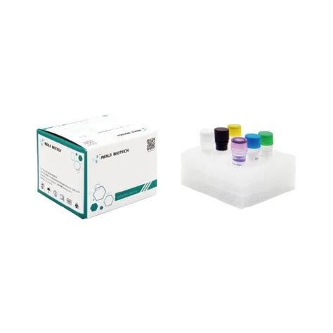 Toxoplasma Gondii Tox Dna Real Time Pcr Kit Diagnostic Kit Toxoplasma Gondii And Diagnostic Kit