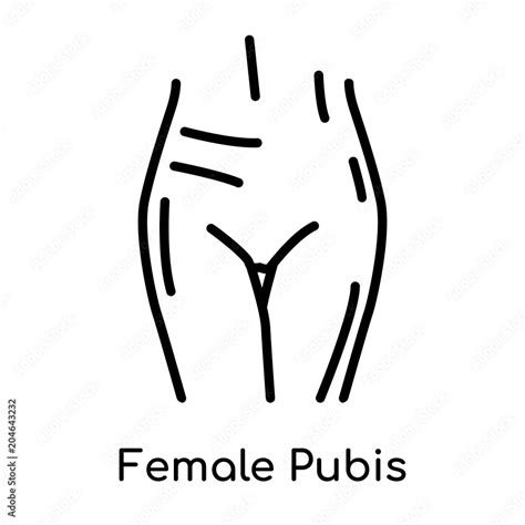 Female Pubis Icon Isolated On White Background Black Outline Sign Linear Modern Symbol Stock